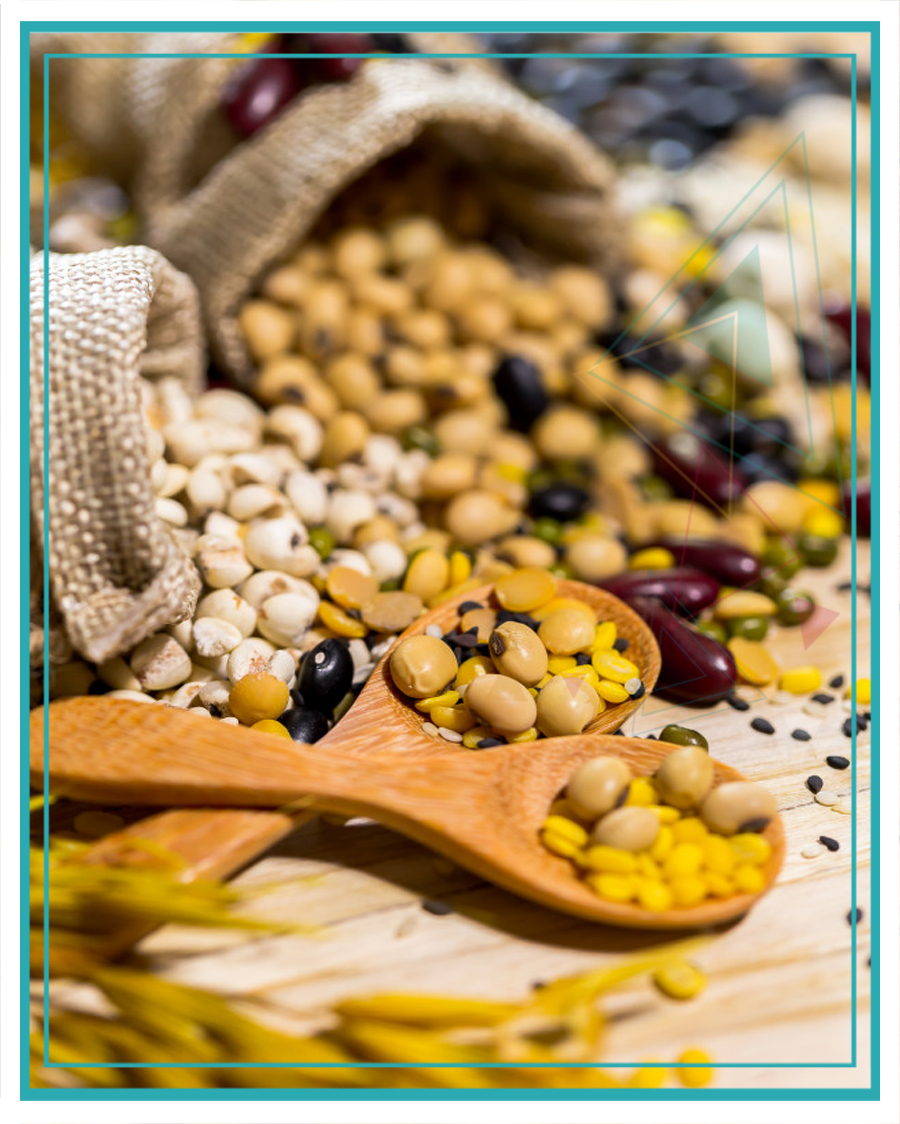 Dals & Pulses Archives - Kolkata Web